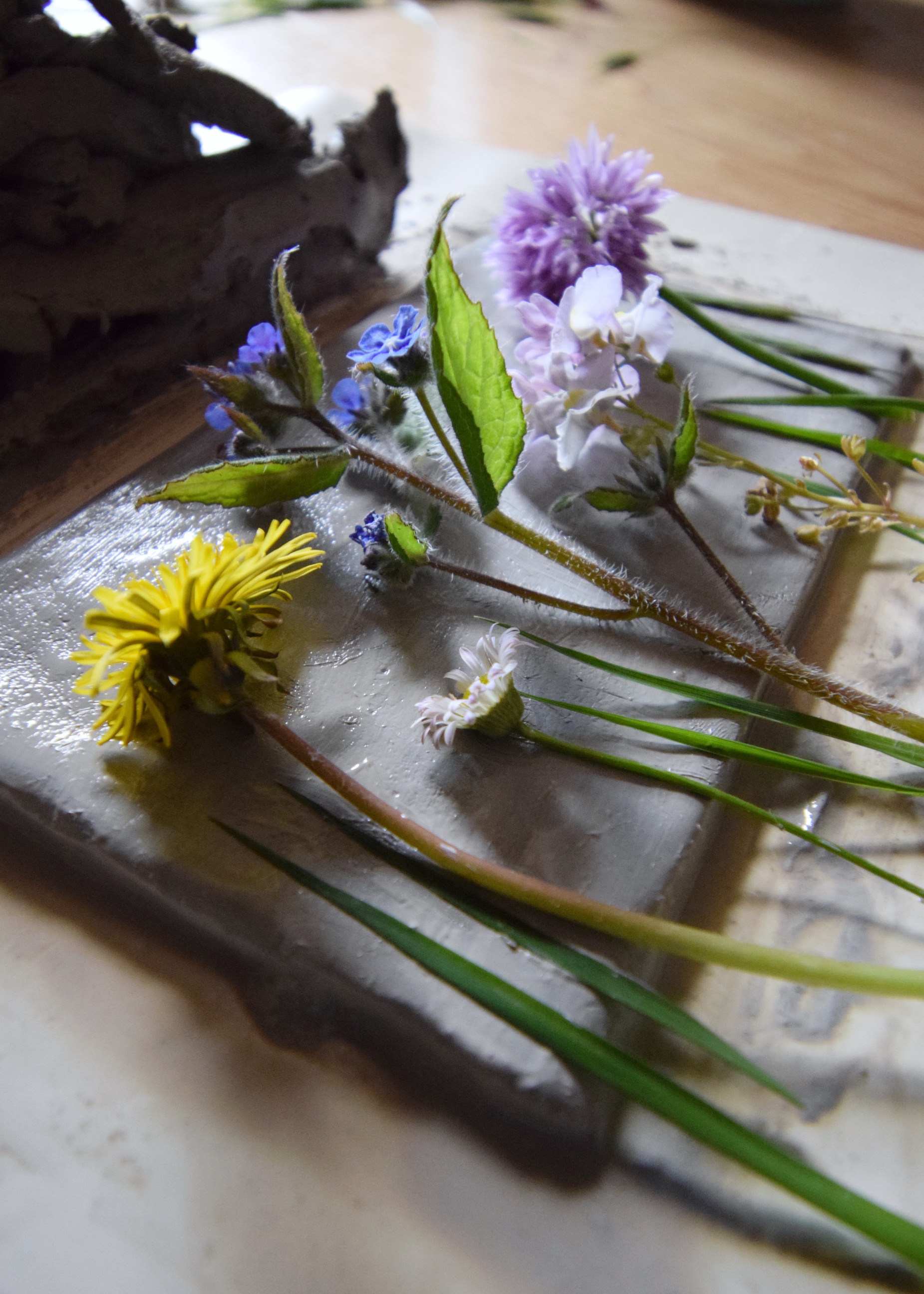 How to make botanical plaster cast tiles with flowers