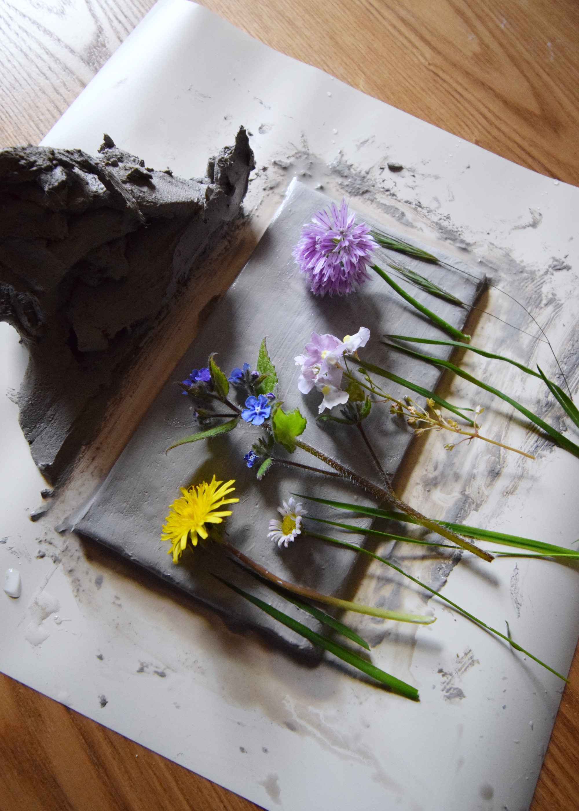 How to make botanical plaster cast tiles with flowers